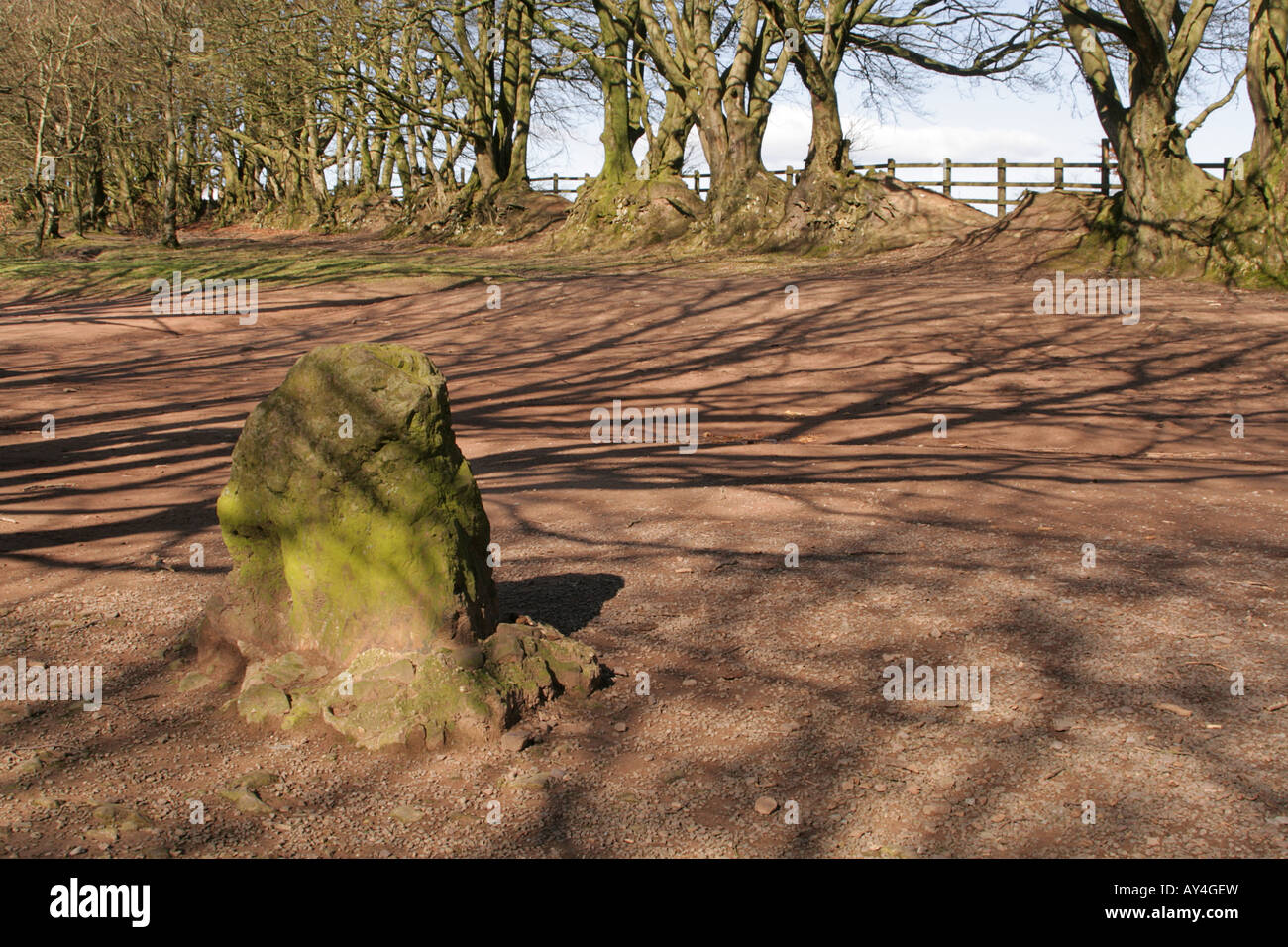 Triscombe Stone in dappled sunlight Stock Photo - Alamy