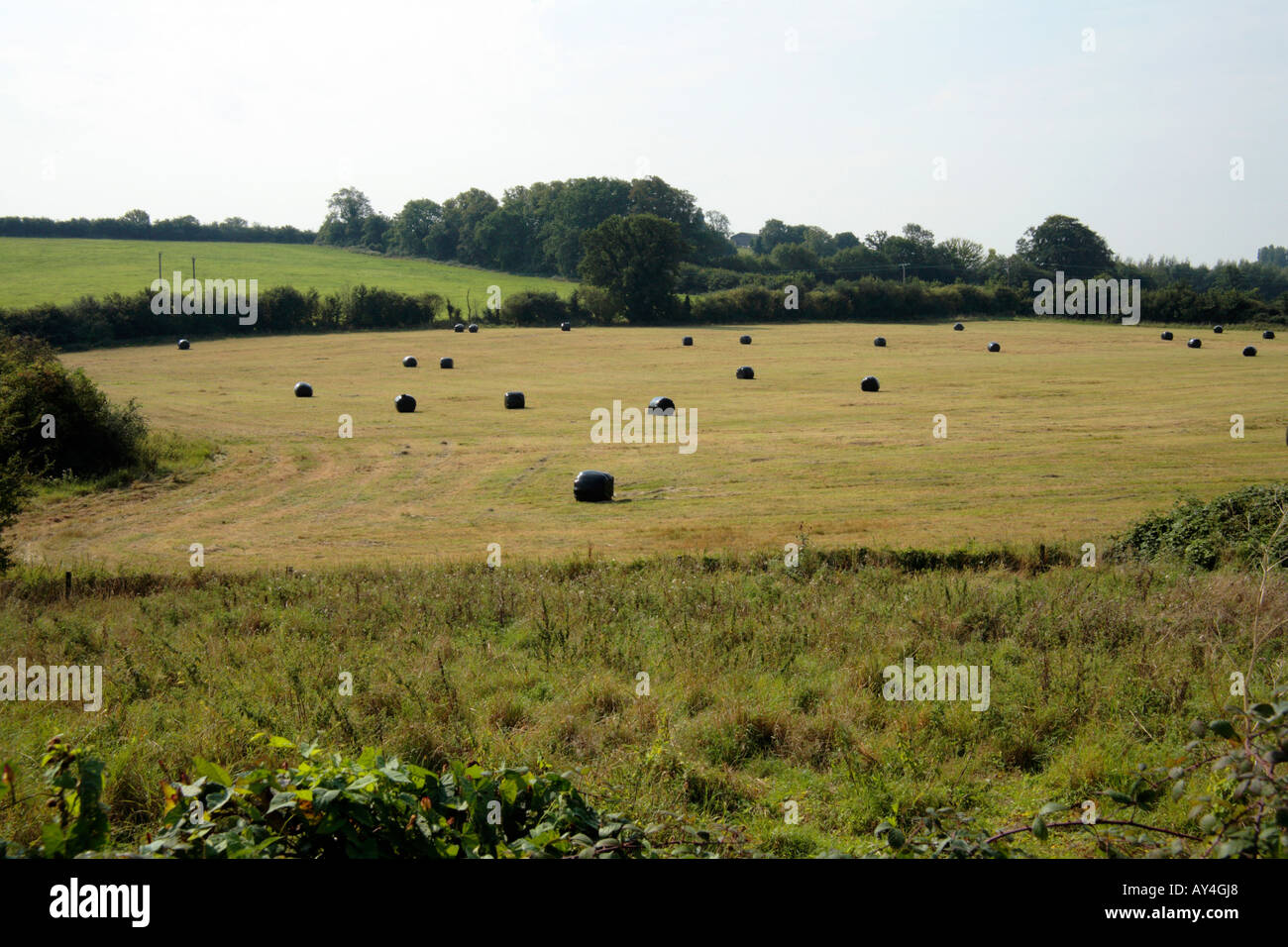 Bagged hay hi-res stock photography and images - Alamy