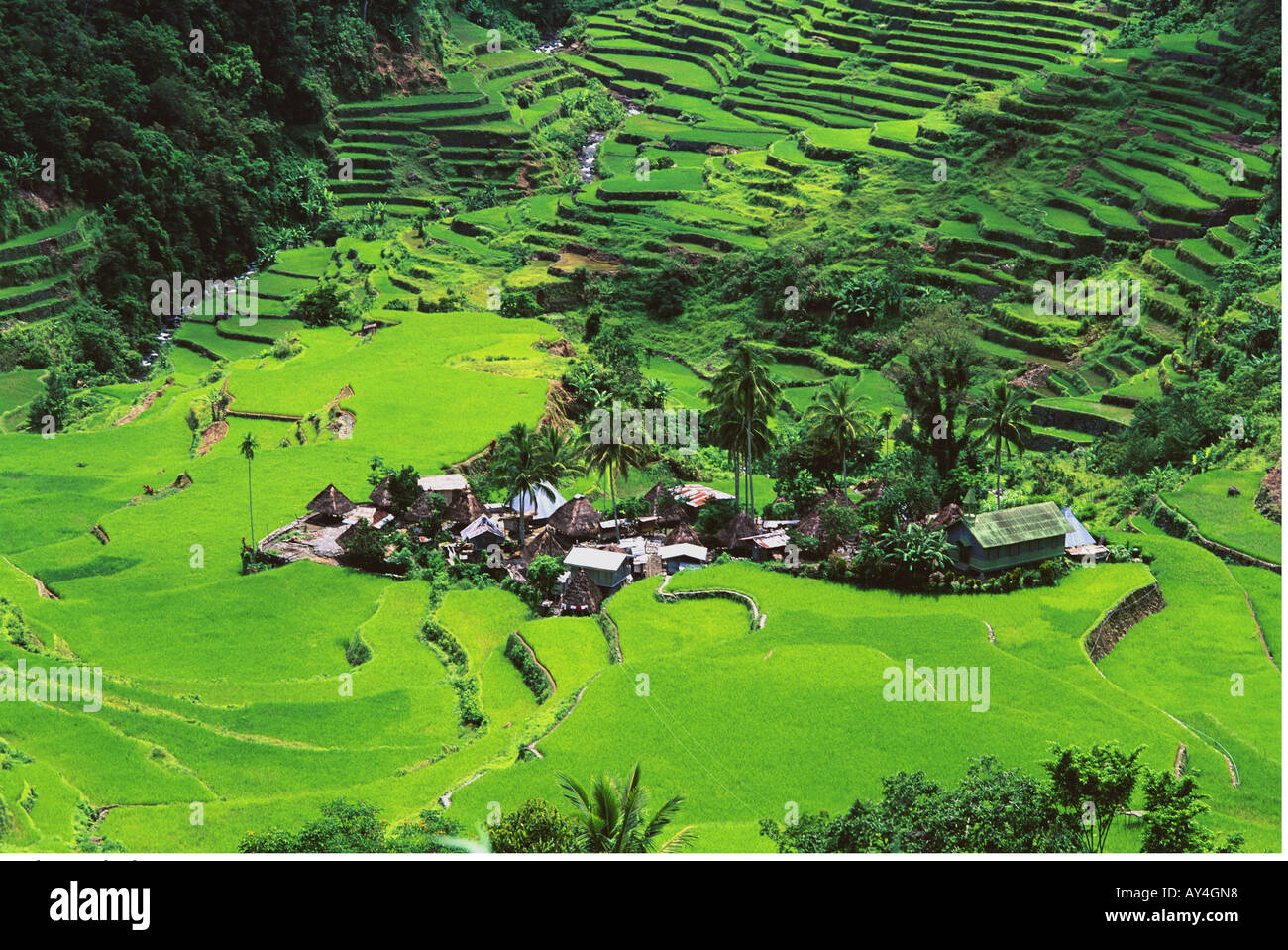 The Philippines Banga An Stock Photo - Alamy