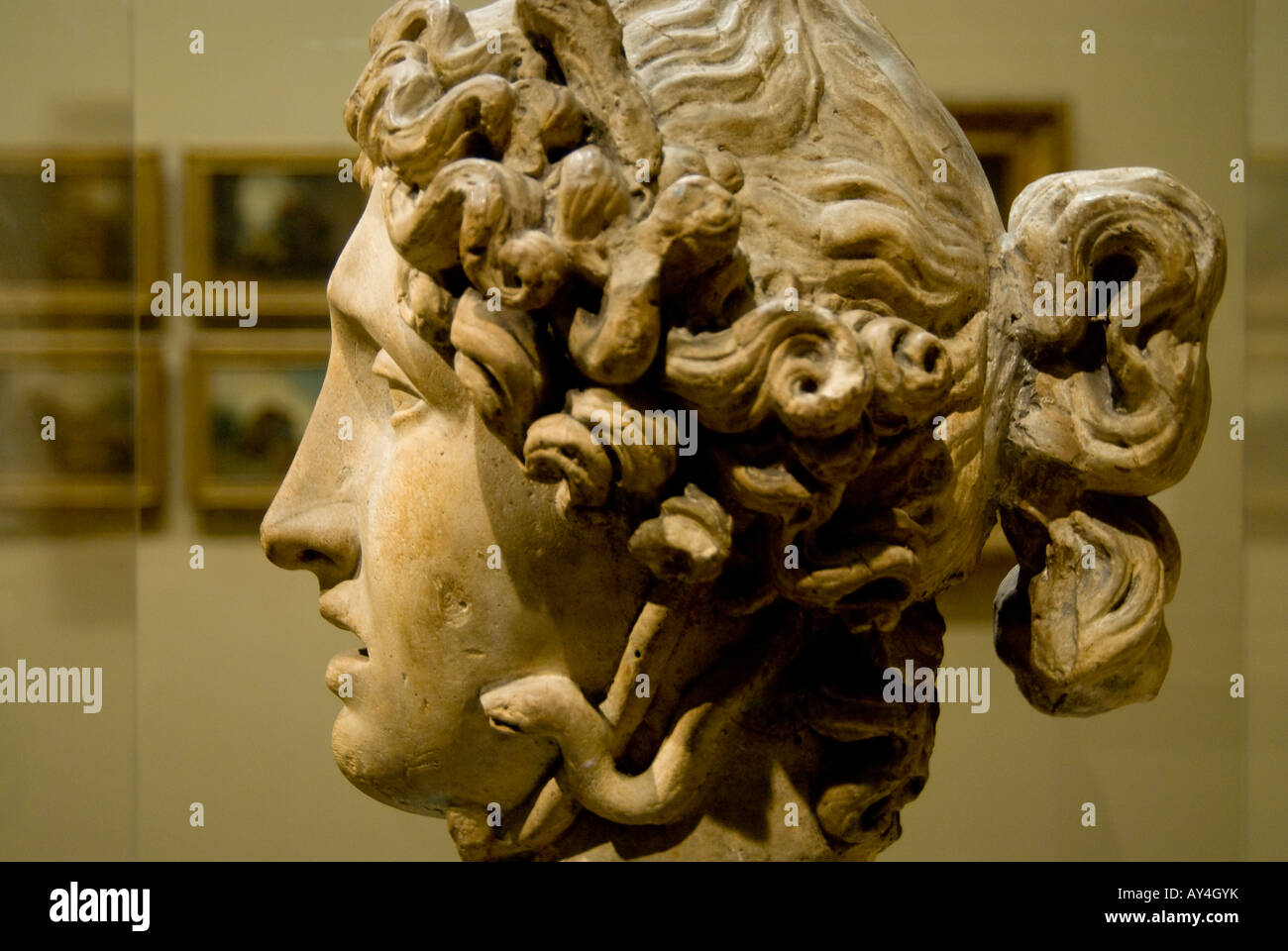 Side view of Medusa Bust Stock Photo - Alamy