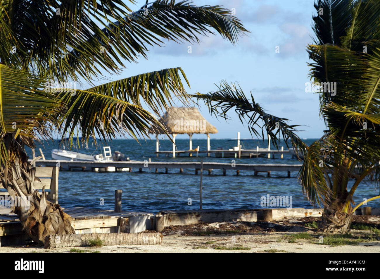 beach scene with palapa Caye Caulker Belize Stock Photo - Alamy