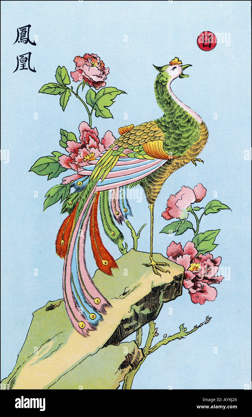 Phoenix birds hi-res stock photography and images - Alamy