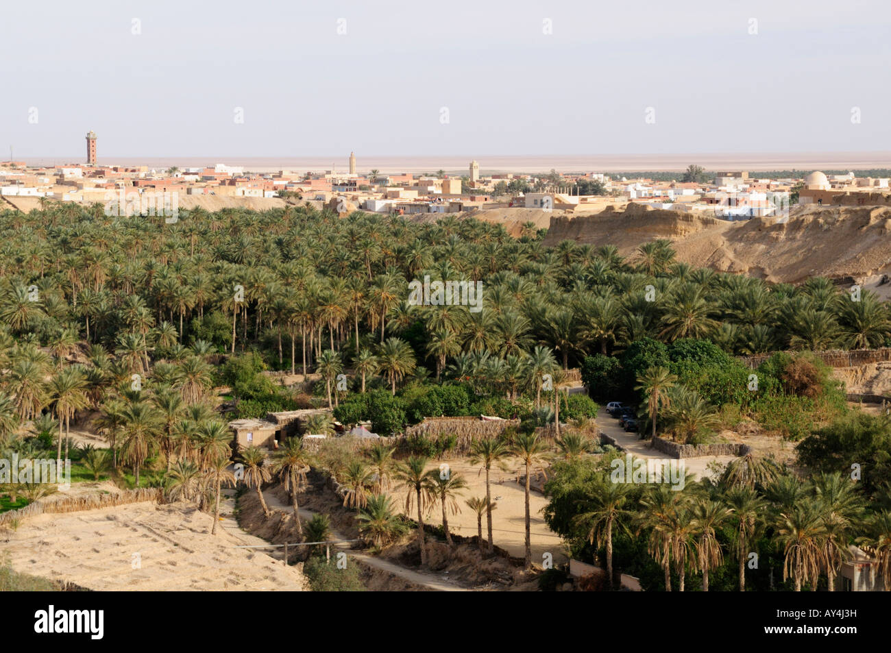 Nefta oasis hi-res stock photography and images - Alamy