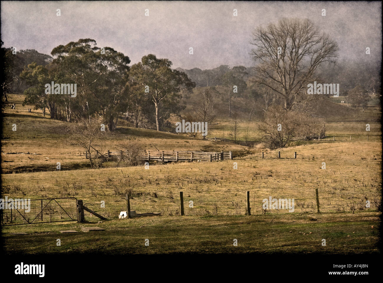 old rickety bridge in the middle of the farm pasture Stock Photo - Alamy