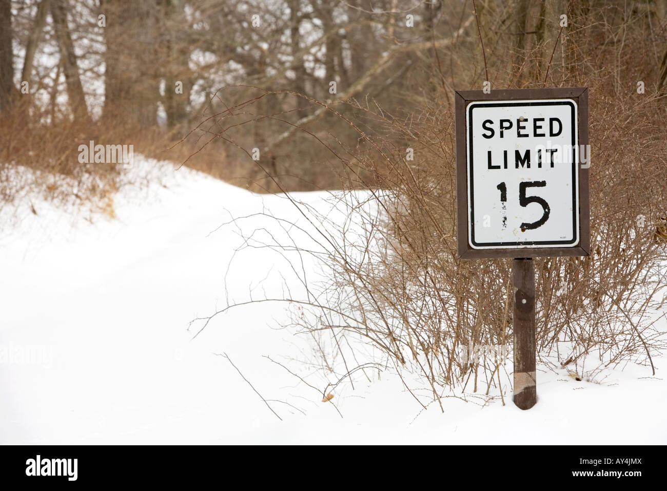 A 15 MPH Speed Limit sign surrounded by snow in the woods Stock Photo ...