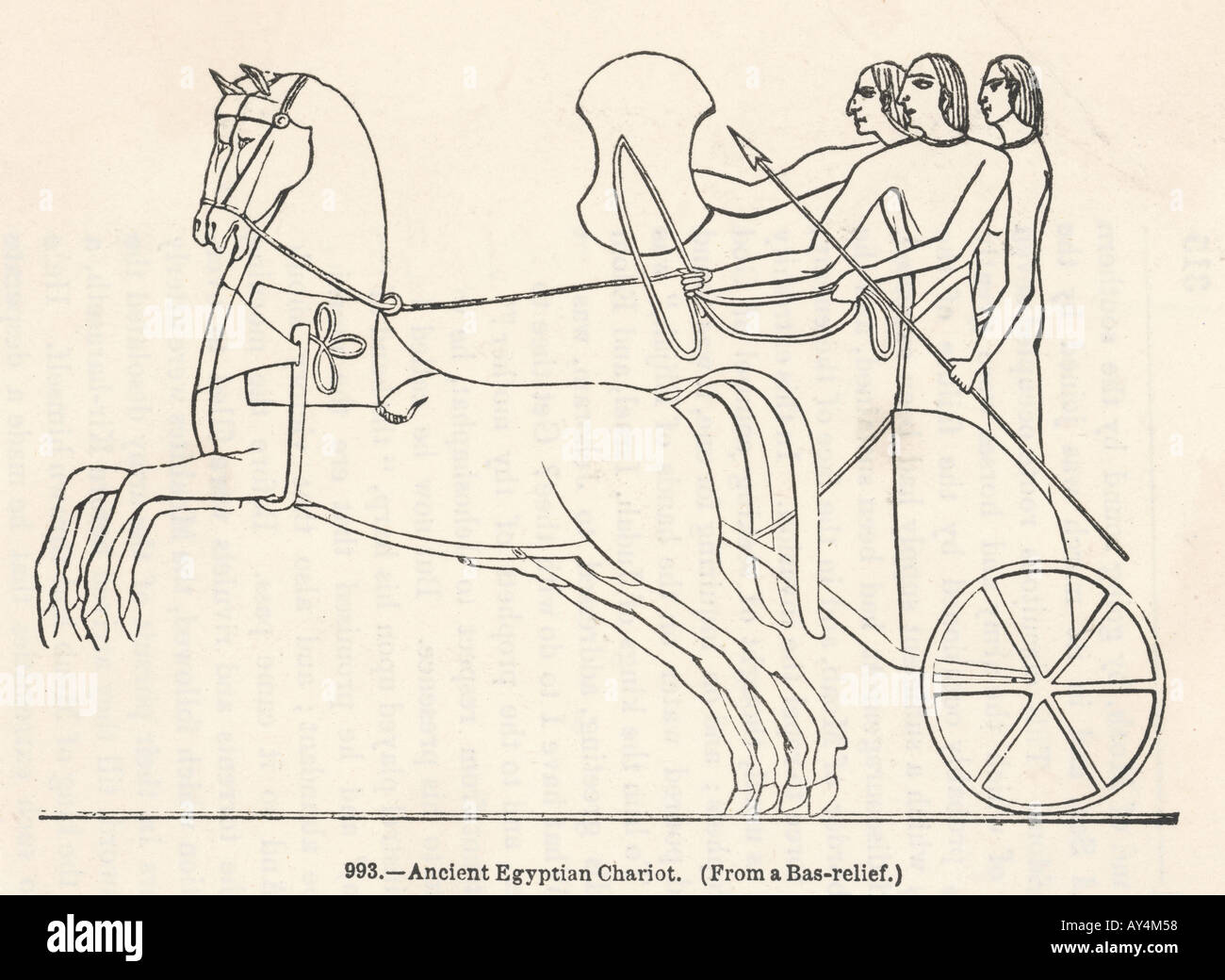 Egyptian chariot hi-res stock photography and images - Alamy