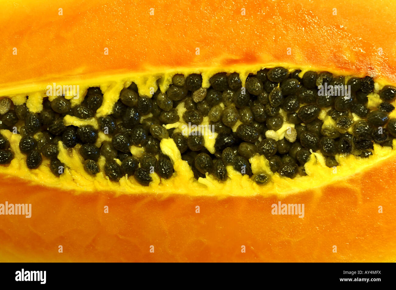 Papain fruits hi-res stock photography and images - Alamy