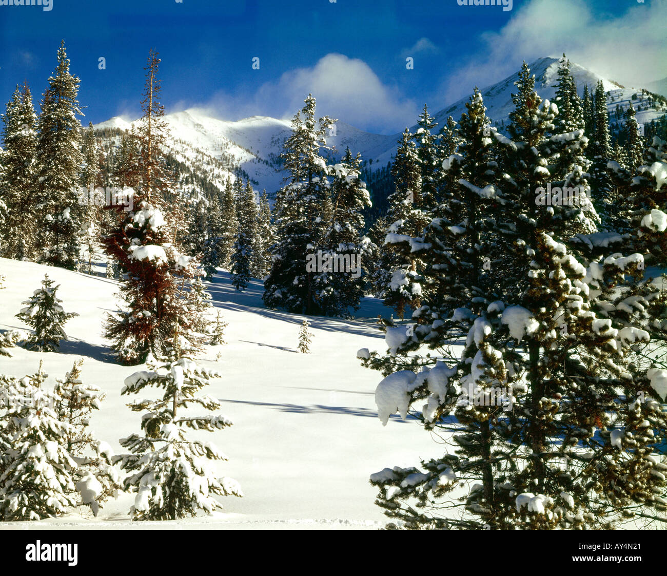 Boulder Mountains in the Sawtooth National Recreation area in Idaho ...