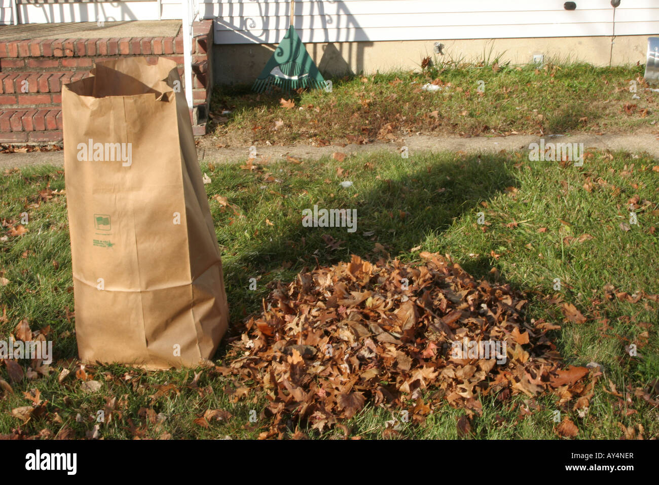 leaf bag with leaves Stock Photo - Alamy