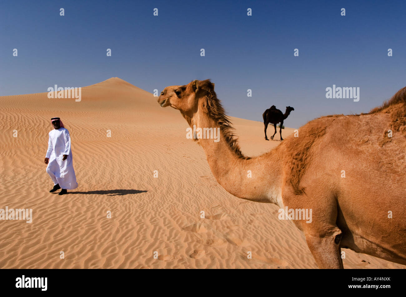 United Arab Emirates UAE Abu Dhabi Province Beduin culture Stock Photo ...