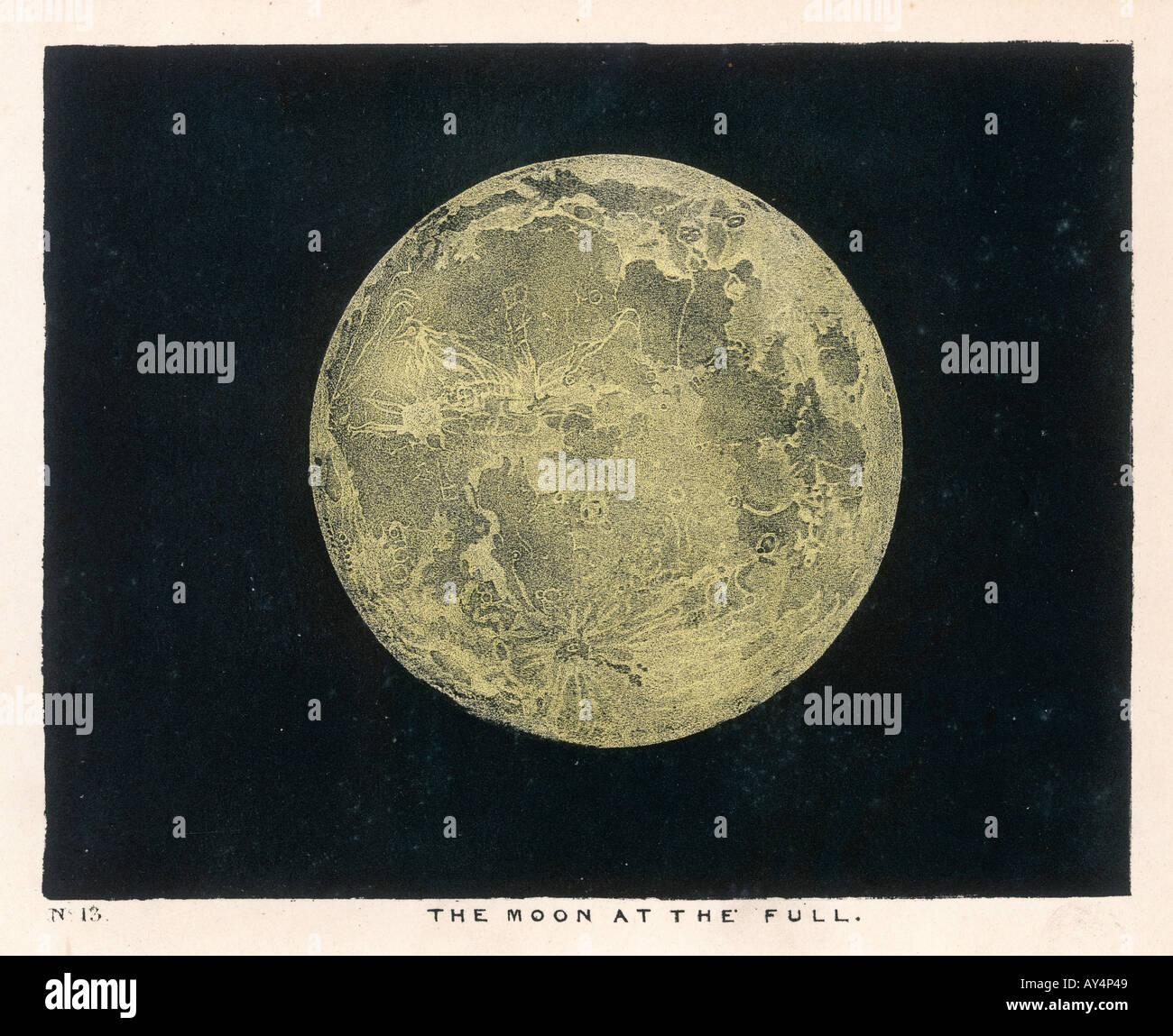 Full plate hi-res stock photography and images - Alamy