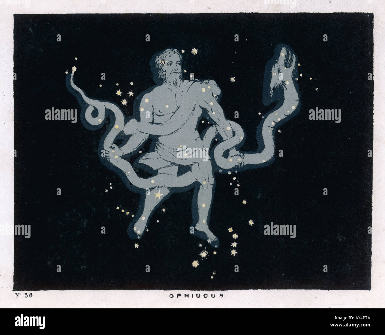 Ophiucus hi-res stock photography and images - Alamy