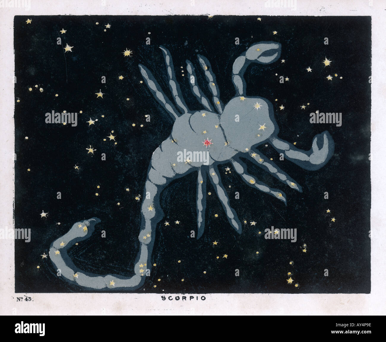 Constellation scorpion hi-res stock photography and images - Alamy