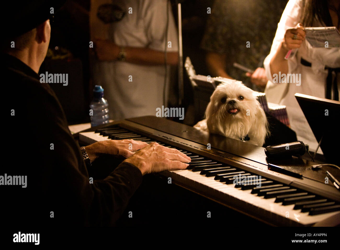 Musician with dog hi-res stock photography and images - Alamy