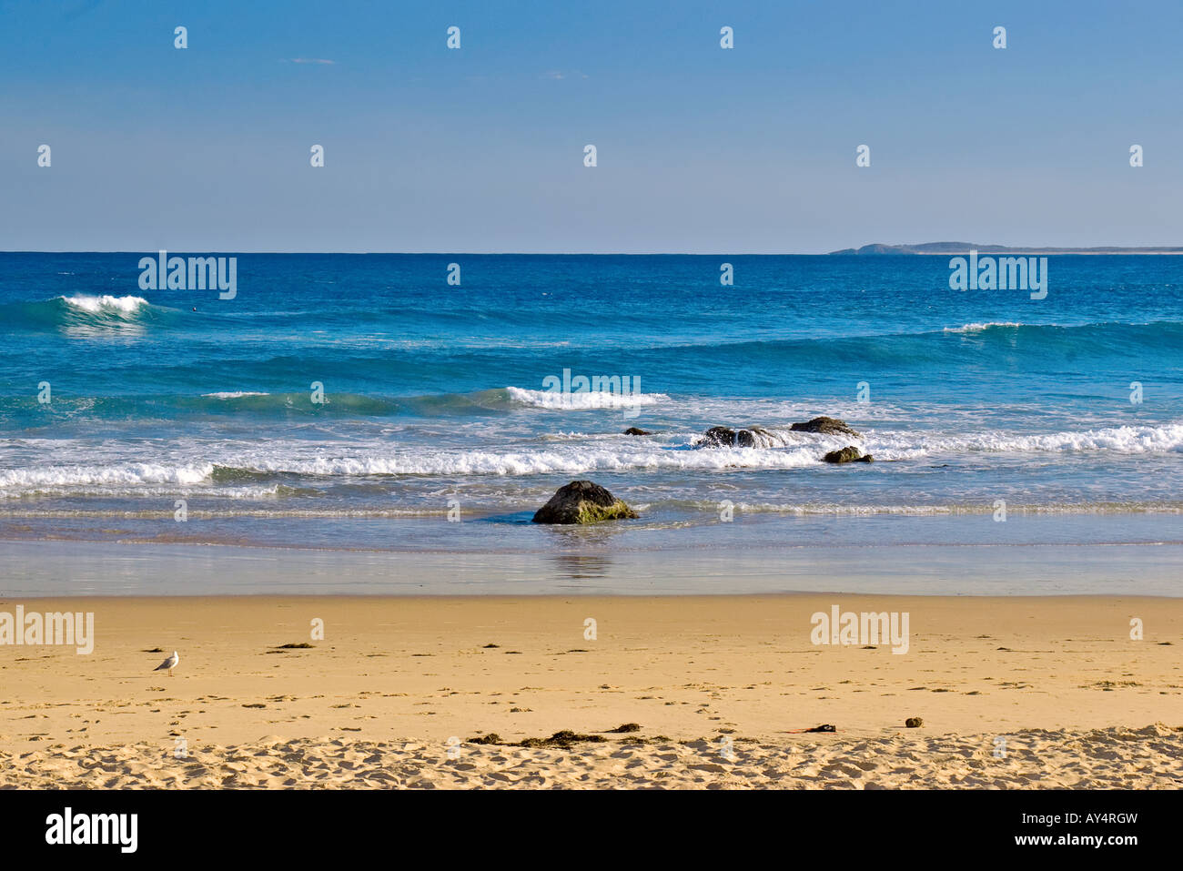 beautiful clear tropical beach for your summer holiday Stock Photo - Alamy