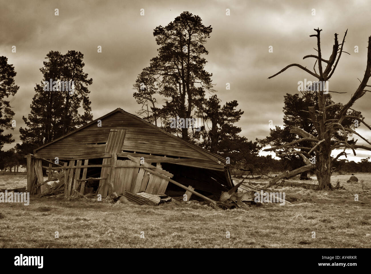 old building on his farm is falling down Stock Photo - Alamy