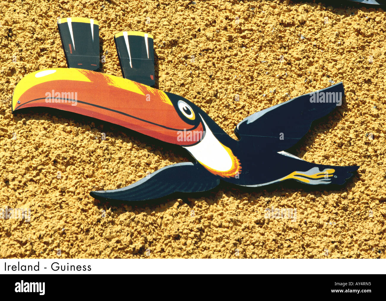 Guiness bird hi-res stock photography and images - Alamy