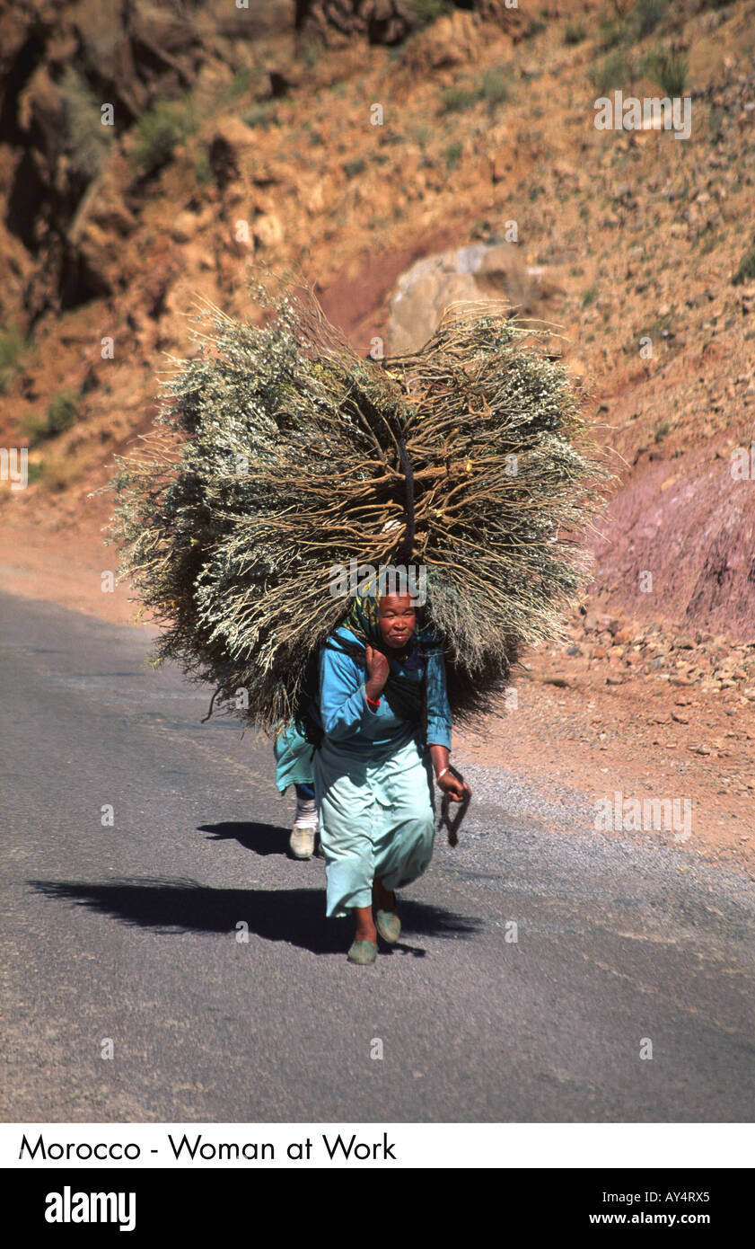 Morocco Woman at Work Stock Photo - Alamy