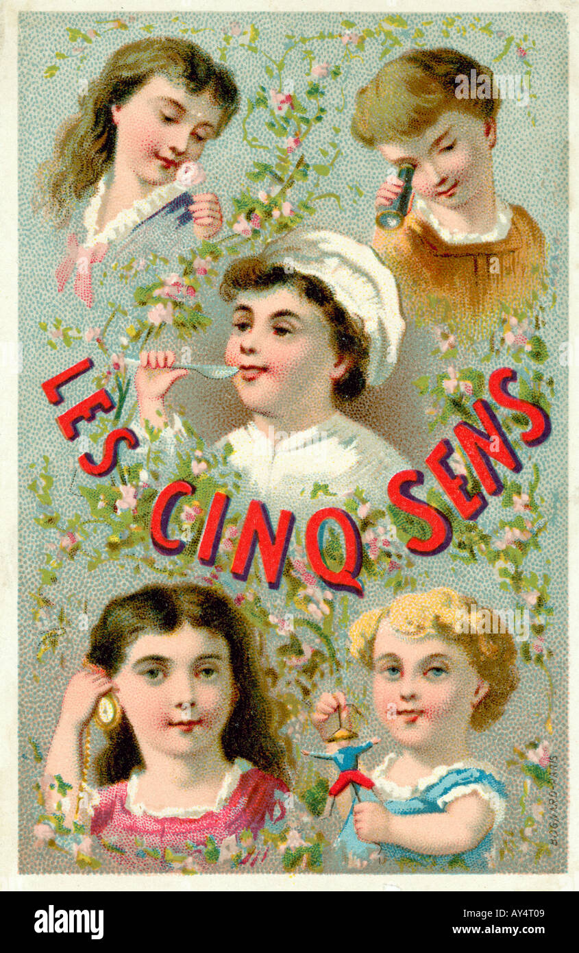 Five senses les cinq sens hi-res stock photography and images - Alamy