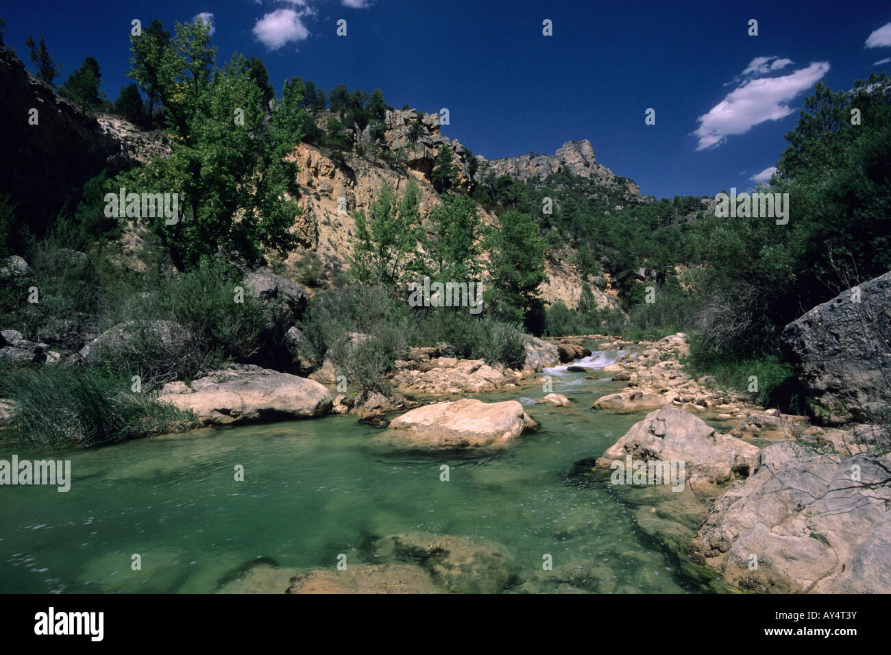 Tajo river, Alto tajo natural park, Guadalajara, Spain Stock Photo - Alamy