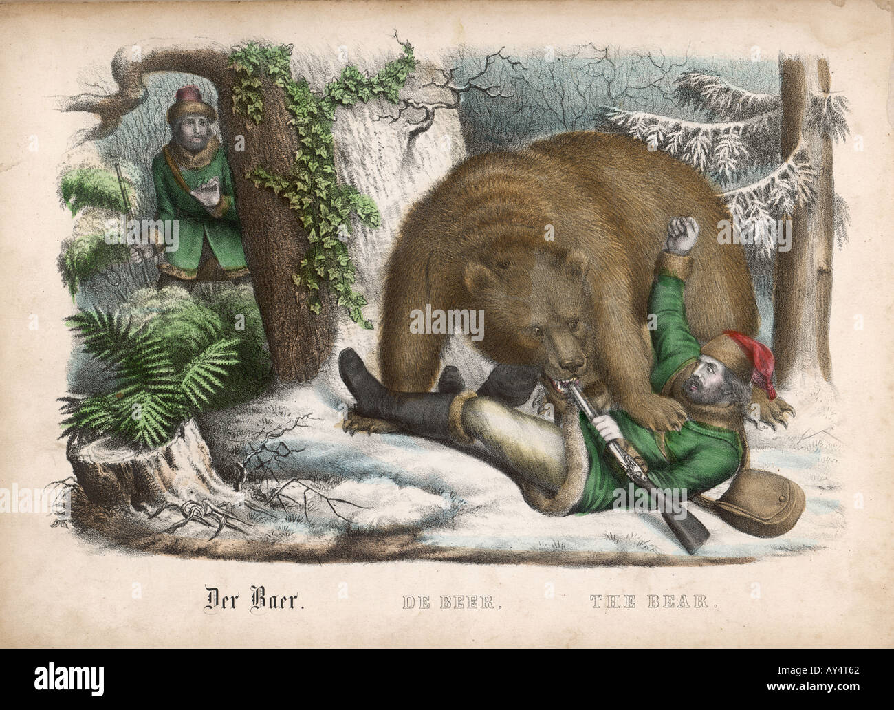 Bear The Hunter Hunted Stock Photo - Alamy