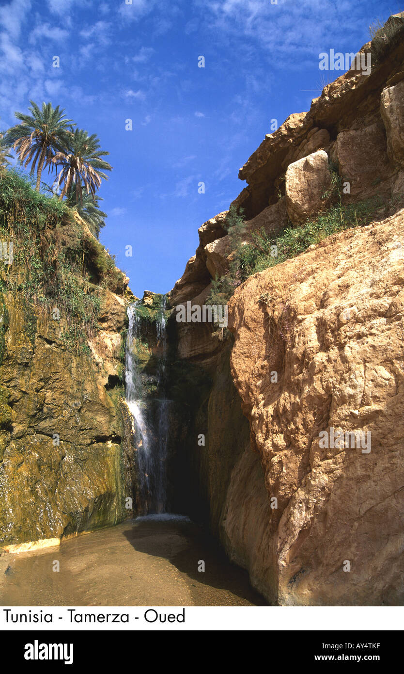 Oued vertical hi-res stock photography and images - Alamy