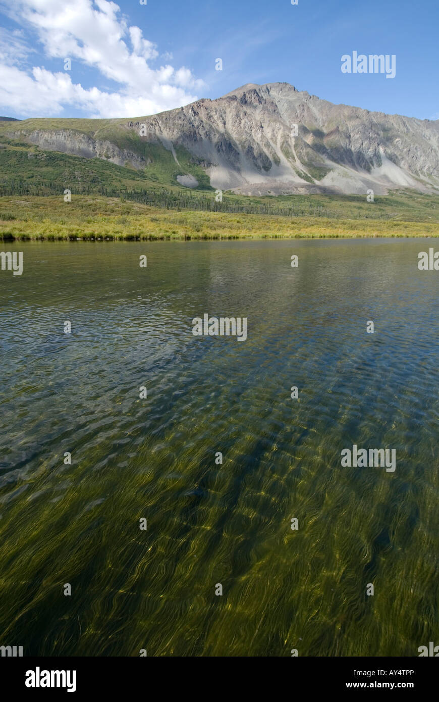 Tangle Lakes and the Amphitheater Mountains near the Denali Highway in ...
