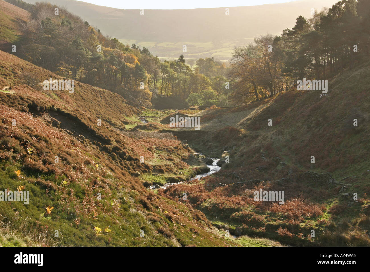 Grindsbrook Clough near Edale Peak District Derbyshire England UK Stock ...
