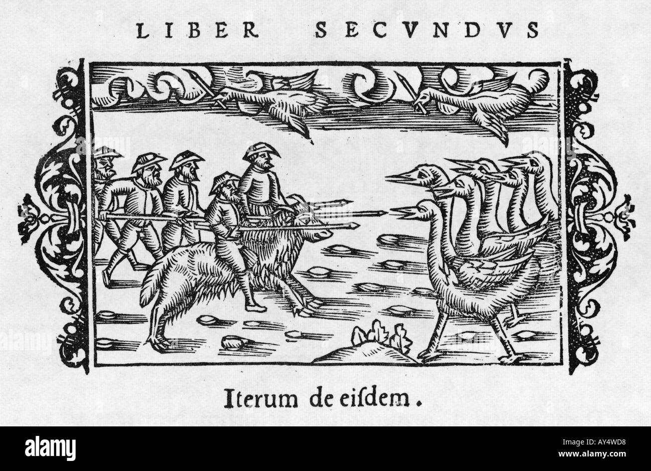 Depiction birds Black and White Stock Photos & Images - Alamy