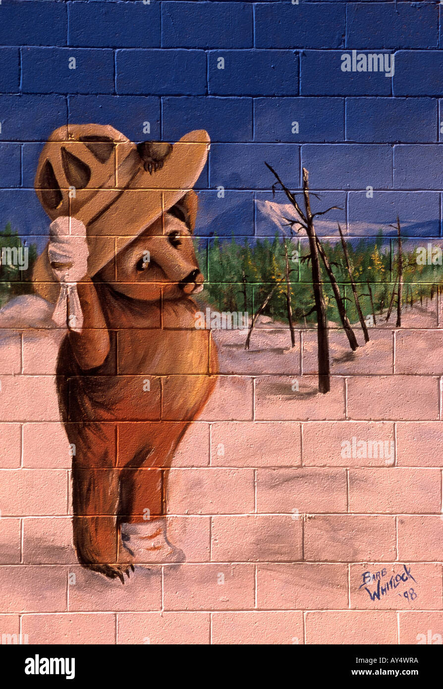 The story of young cub Smokey Bear is told on an outdoor mural by Barb ...