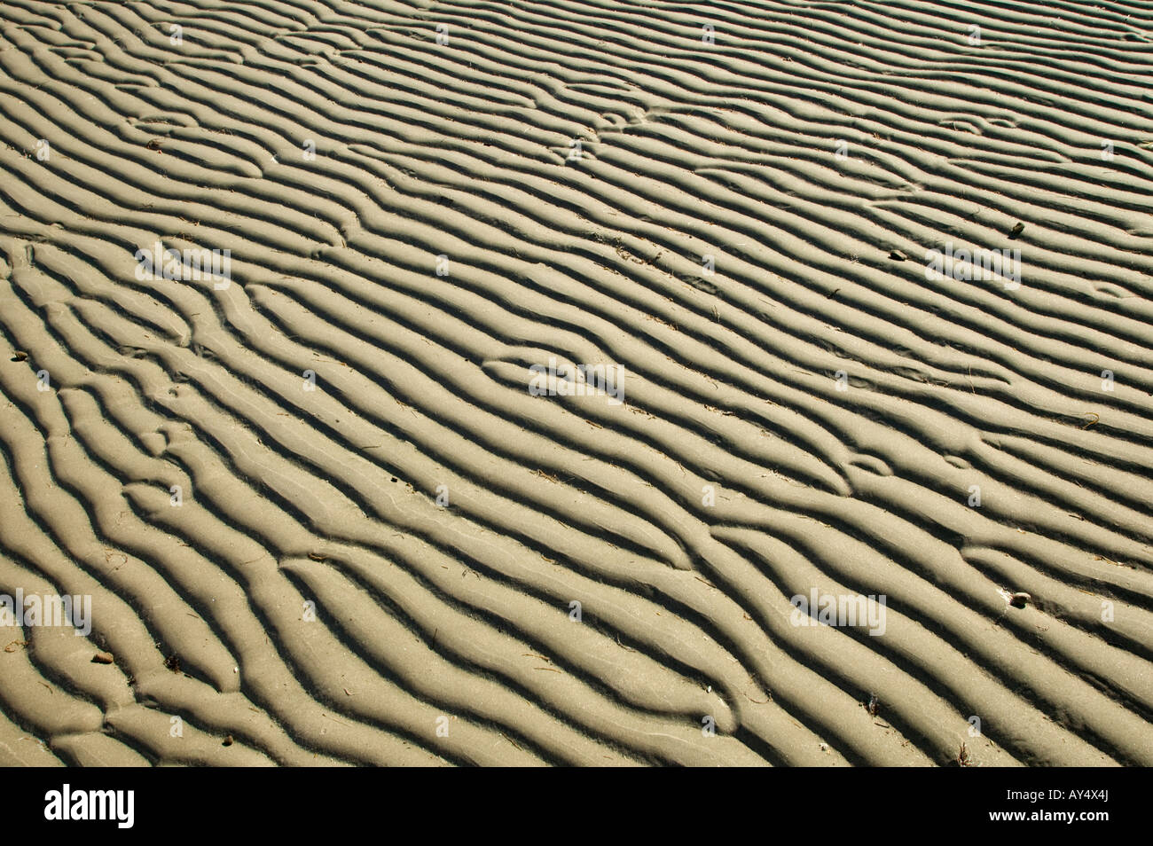 Bumpy wavy hi-res stock photography and images - Alamy