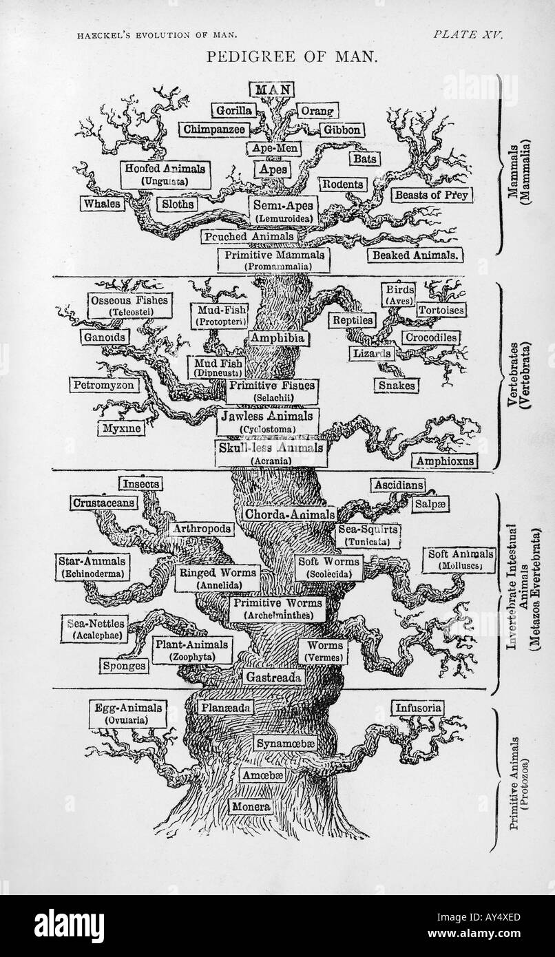 Science and man Black and White Stock Photos & Images - Alamy