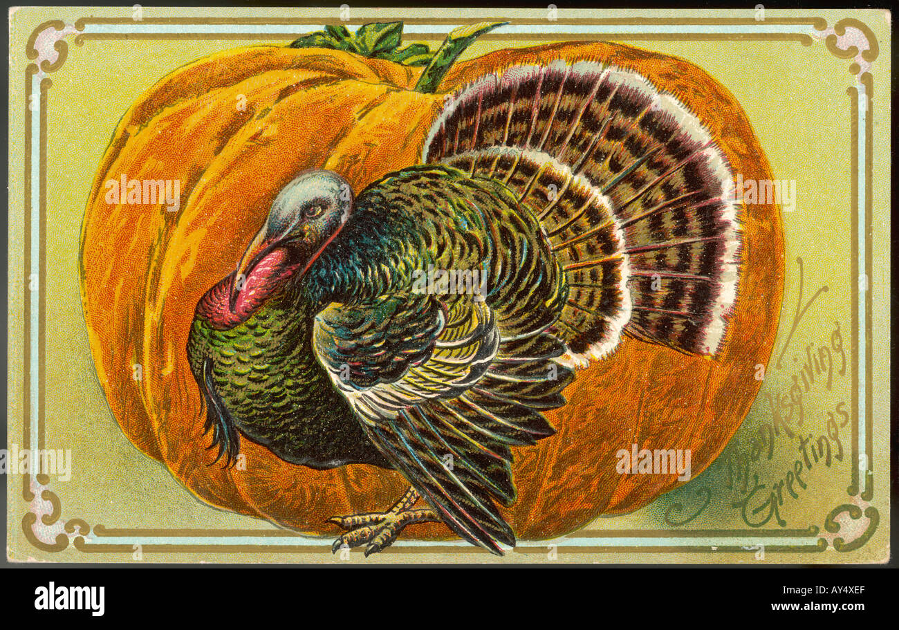 Turkey And Pumpkin Stock Photo - Alamy