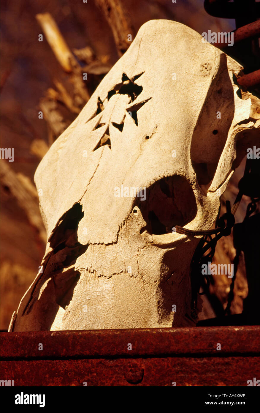 A Native-American sculpture crafted in bone, fashioned as a totem, at ...
