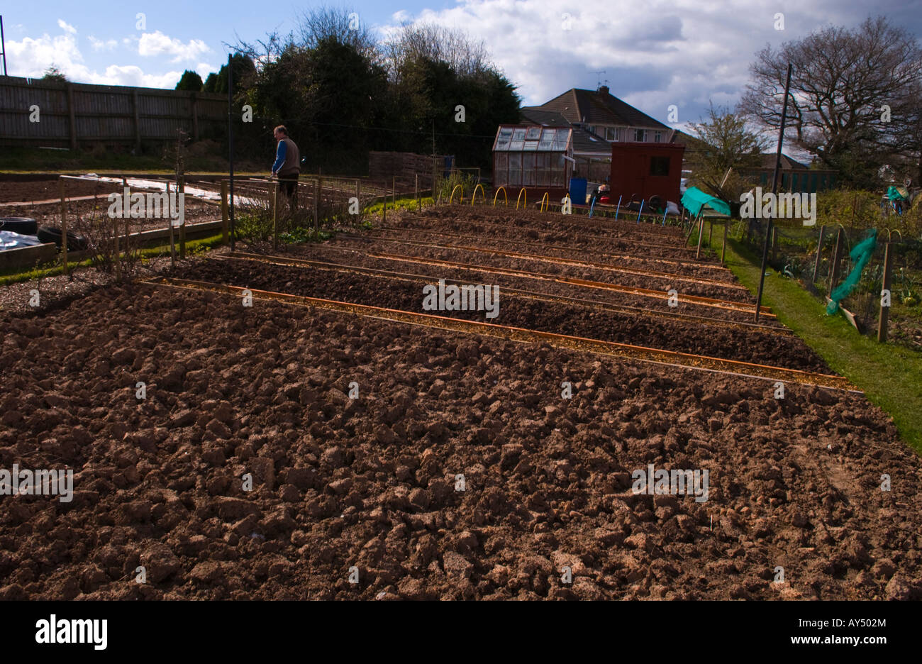 Prepared plots at Lady Mary Allotments Cardiff South Wales UK EU Stock ...