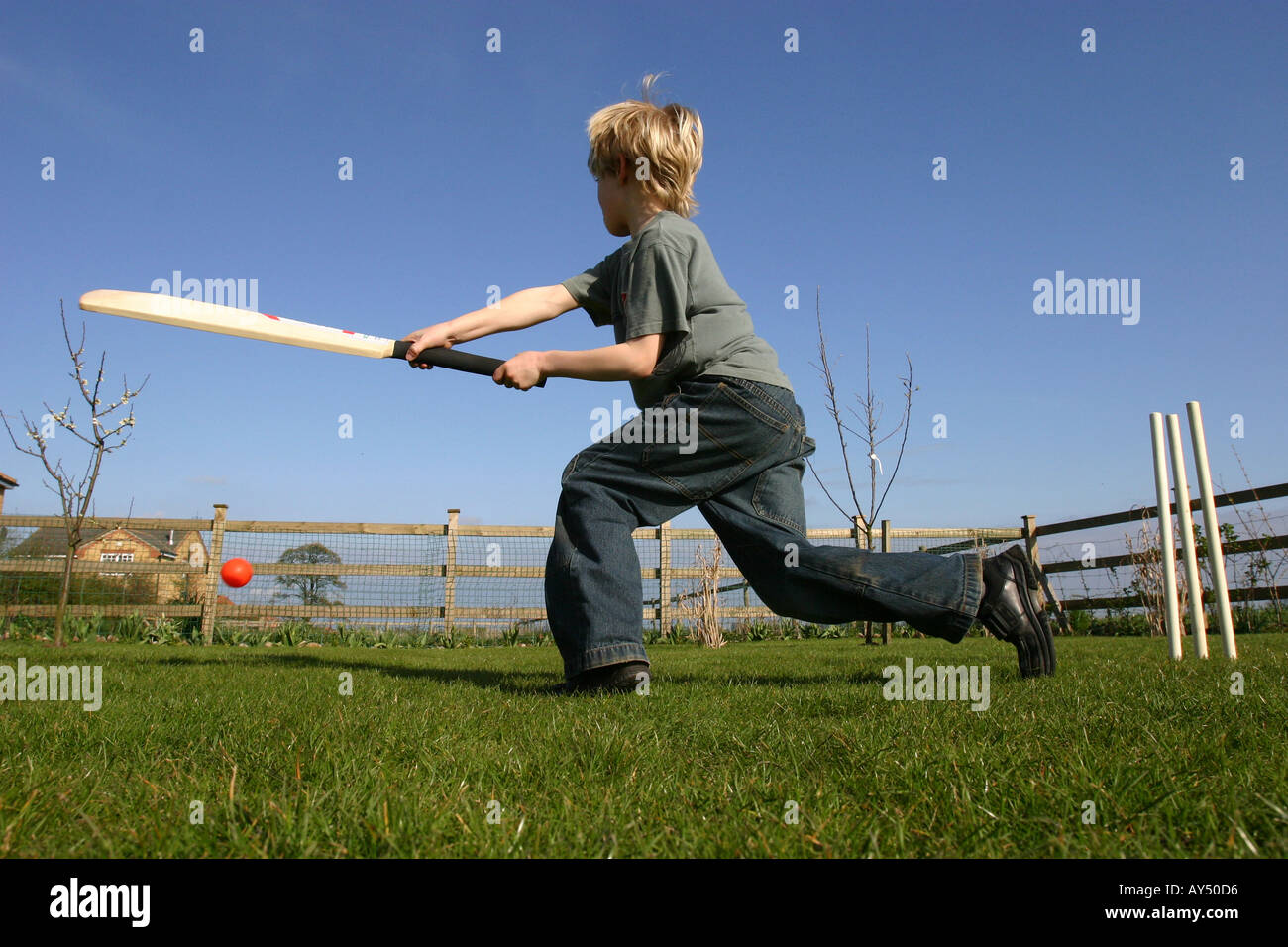 Boy playing cricket Stock Photo - Alamy