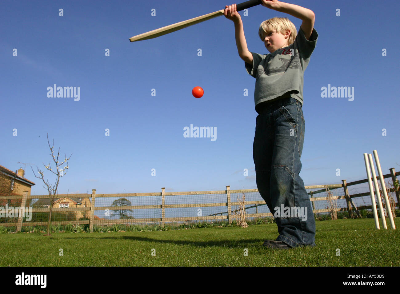 Boy playing cricket Stock Photo - Alamy