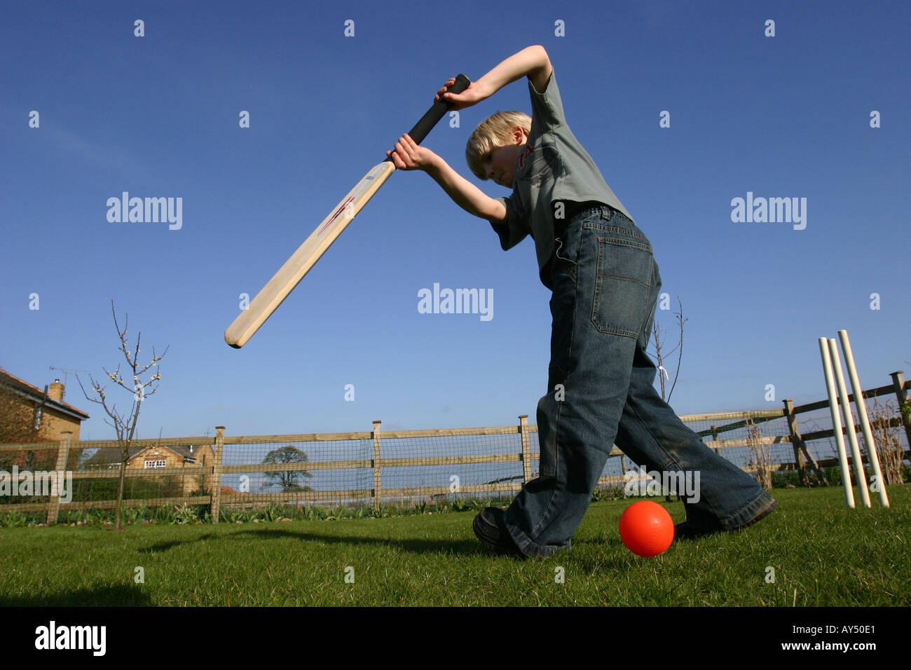 Boy playing cricket Stock Photo - Alamy