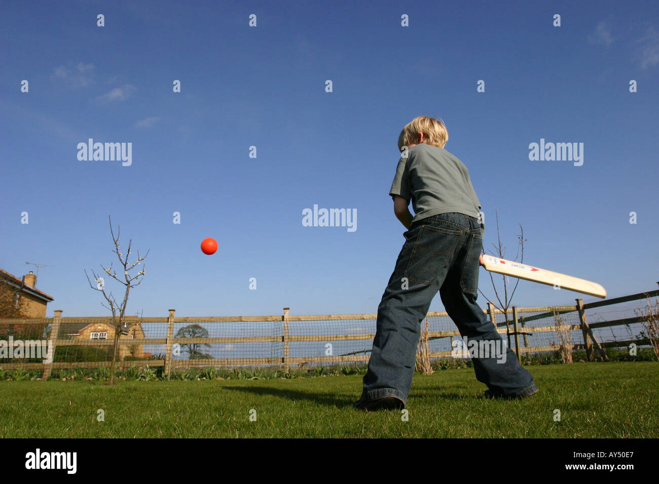 Boy playing cricket Stock Photo - Alamy