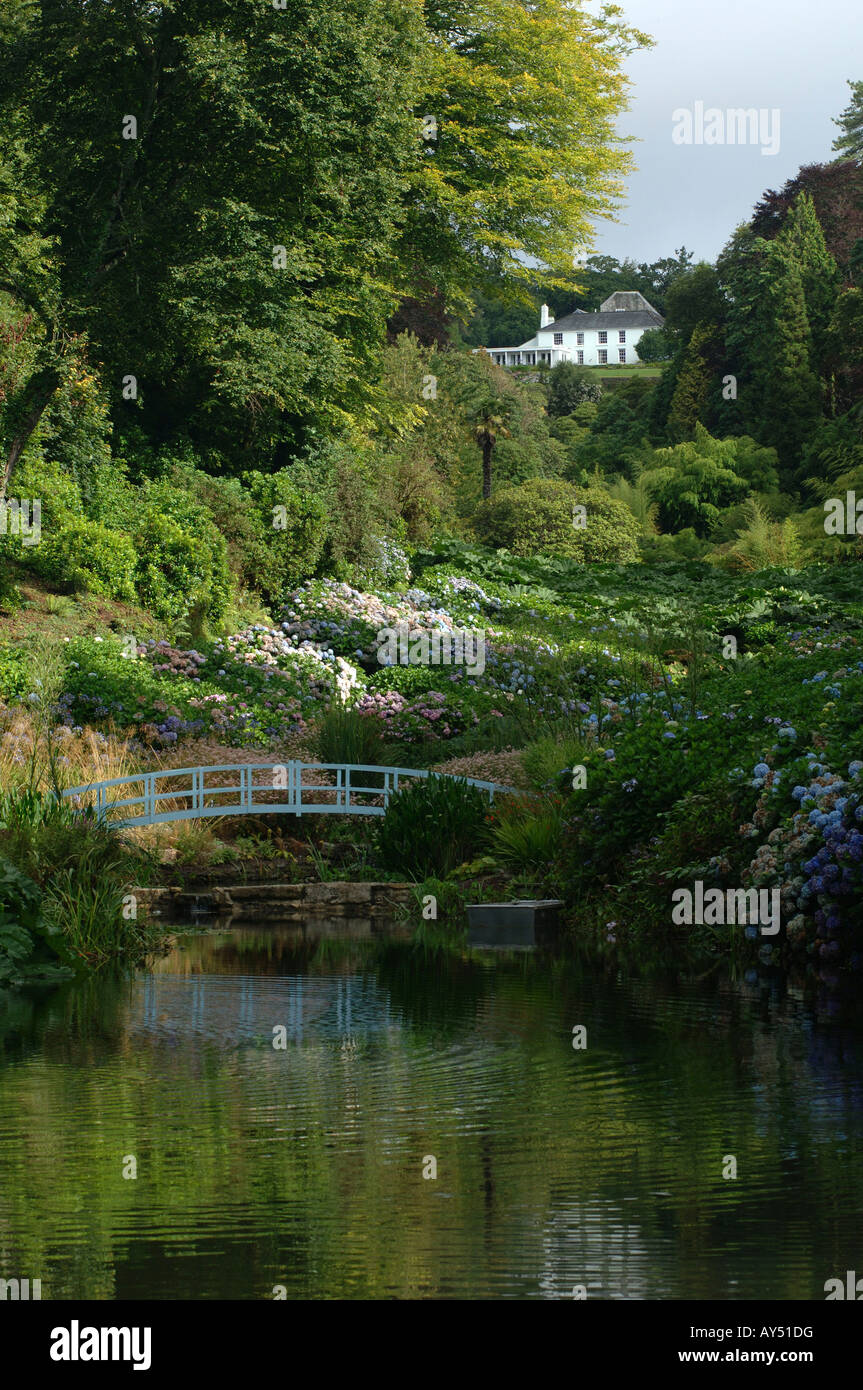 Cornwall Mawnan Smith Trebah botanical Garden a sub tropical ravine ...
