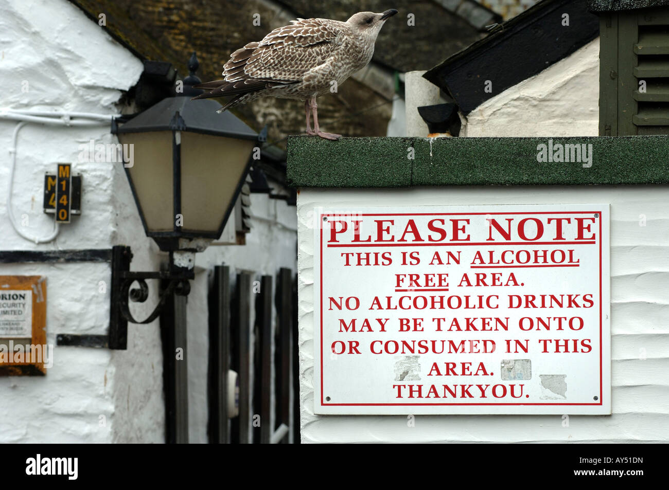 Cornwall alcohol free area sign in Polperro Stock Photo - Alamy