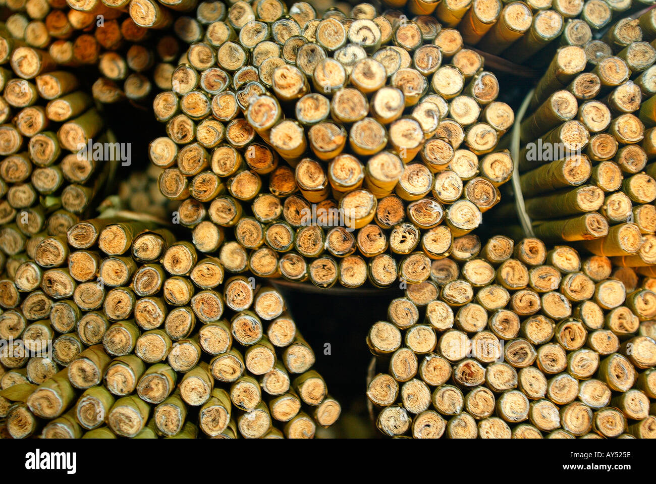 Cheroot burmese cigar cheroot cigars hi-res stock photography and ...