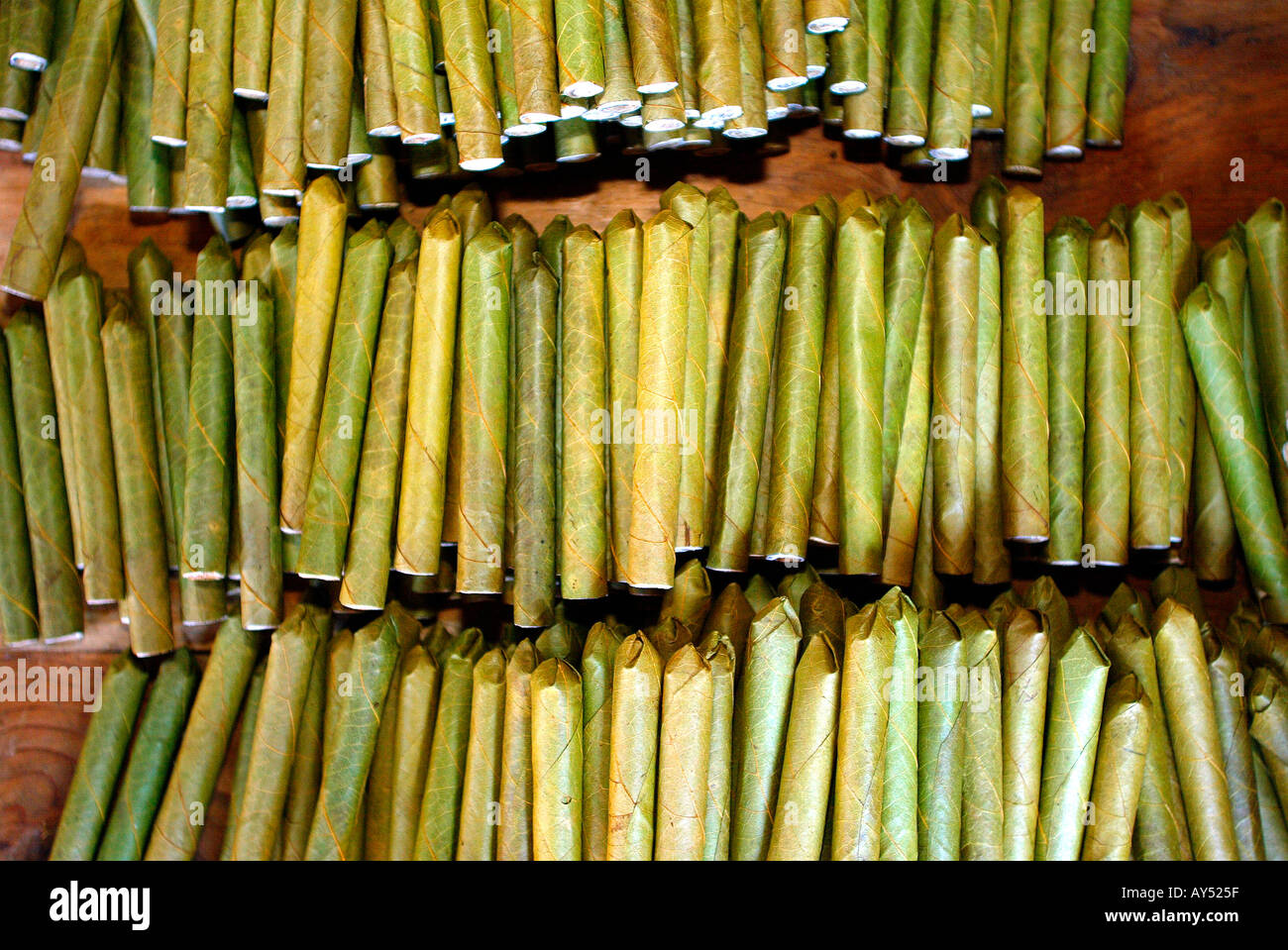 Burmese cheroots hi-res stock photography and images - Alamy