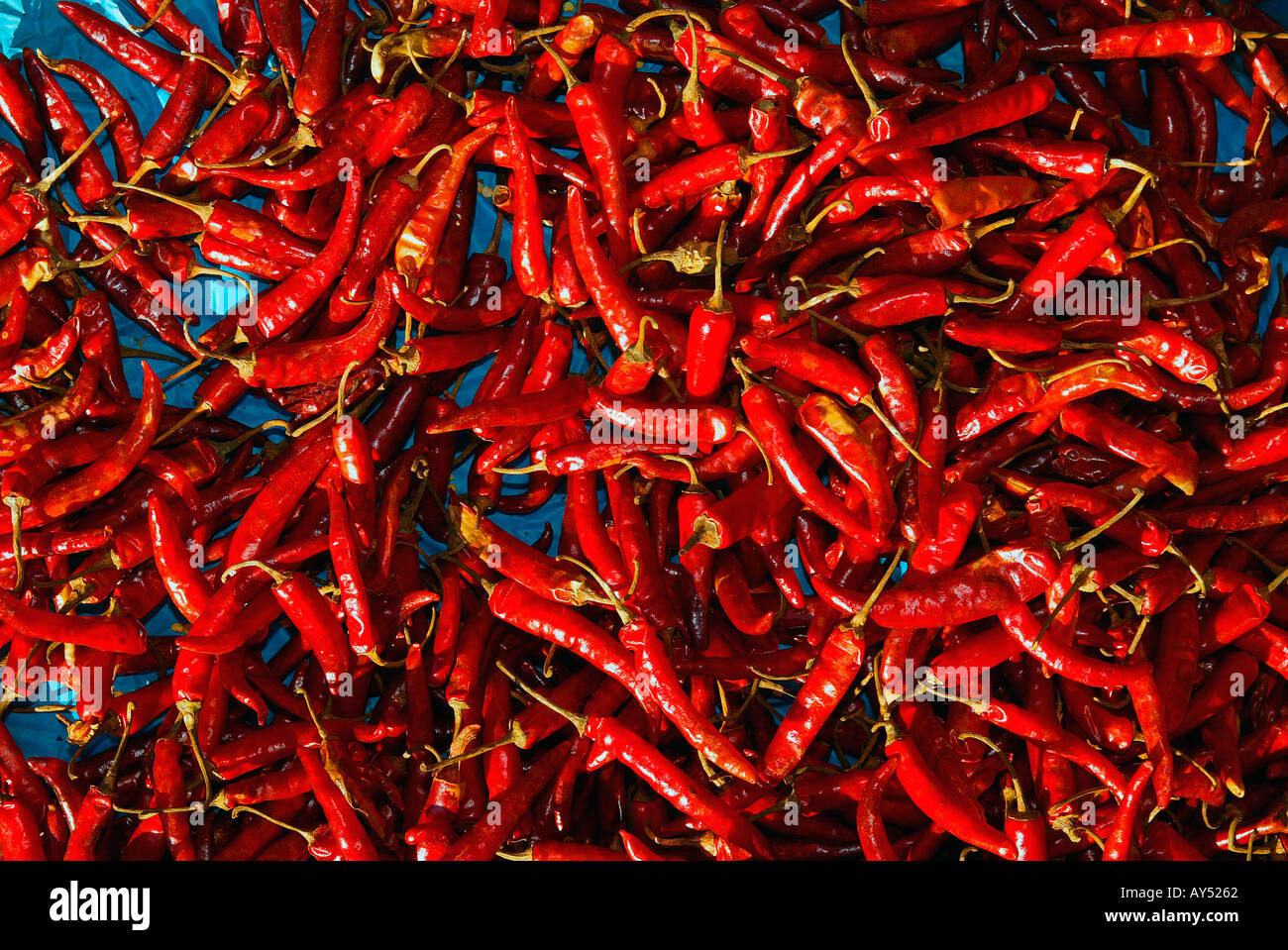 Lots of chillies hi-res stock photography and images - Alamy
