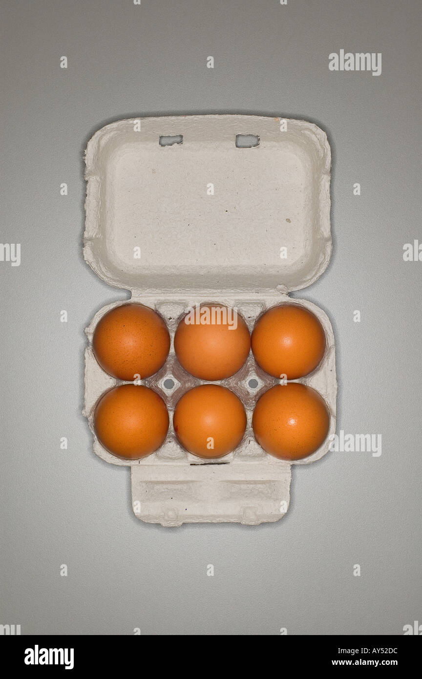 Hen chicken net hi-res stock photography and images - Alamy