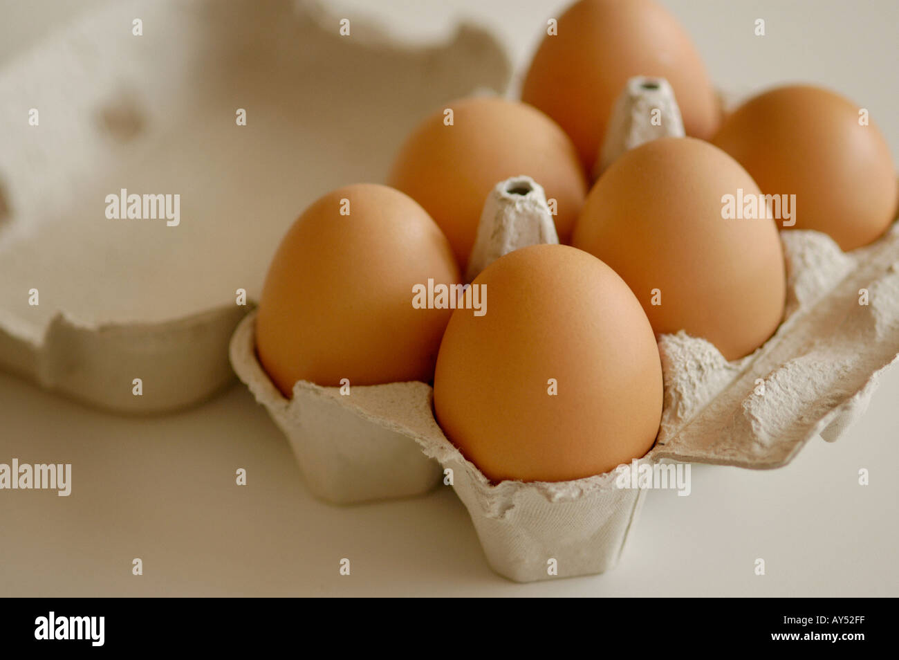 EGGS IN EGG BOX CONTAINER Stock Photo - Alamy