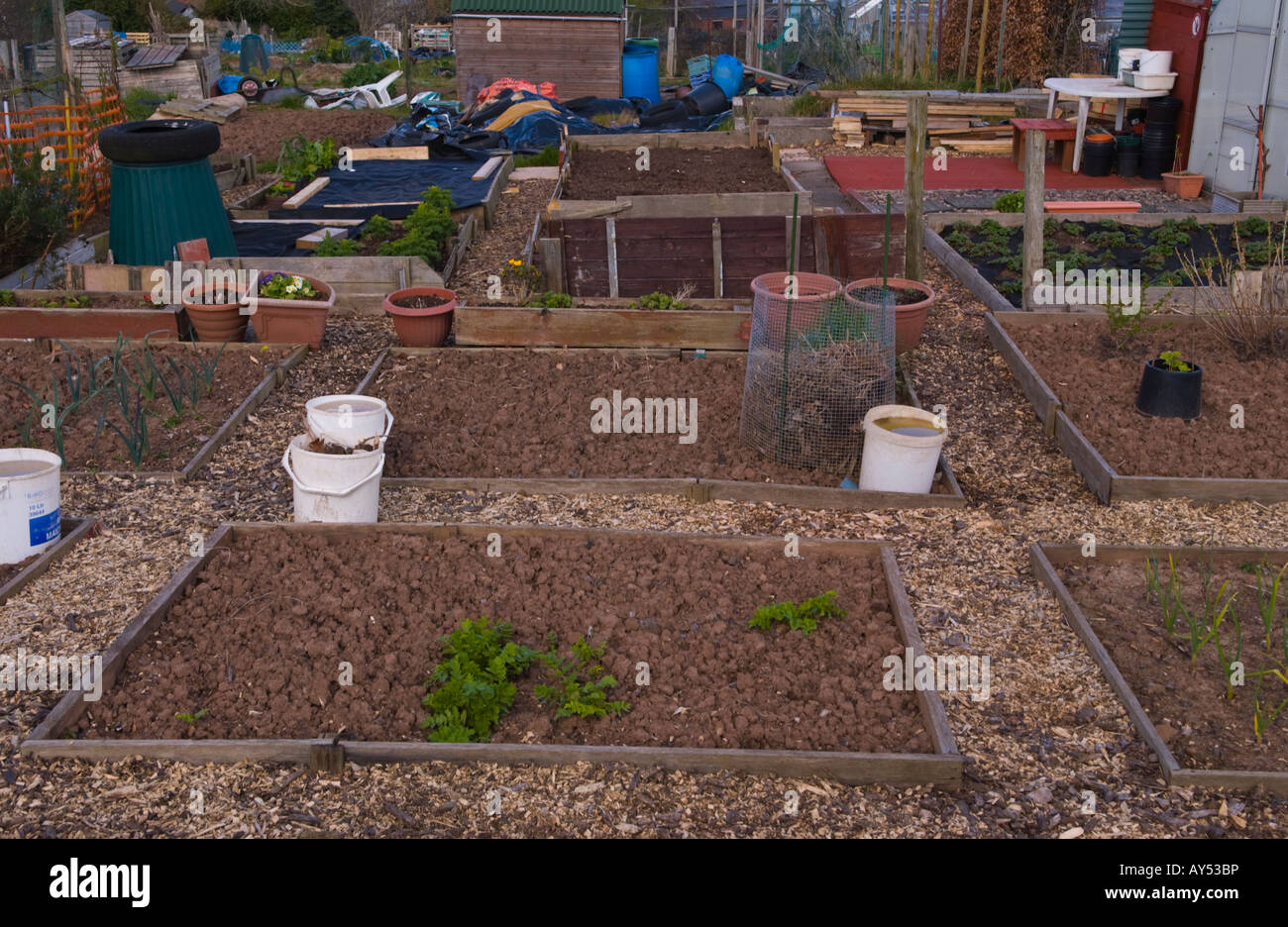 Allotment reportage hi-res stock photography and images - Alamy