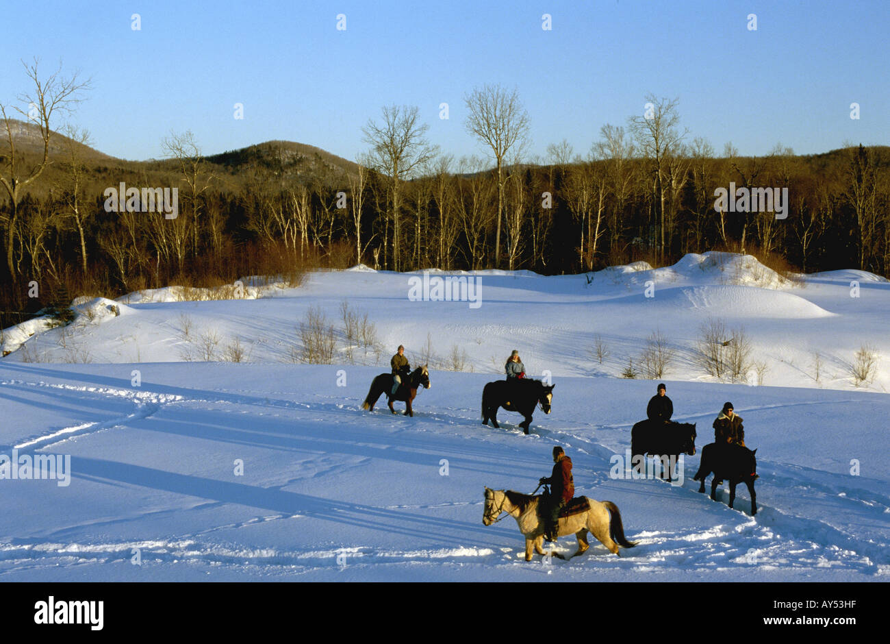 Canada Quebec Mont Tremblant The Hermitage Ranch Horseriding Stock ...