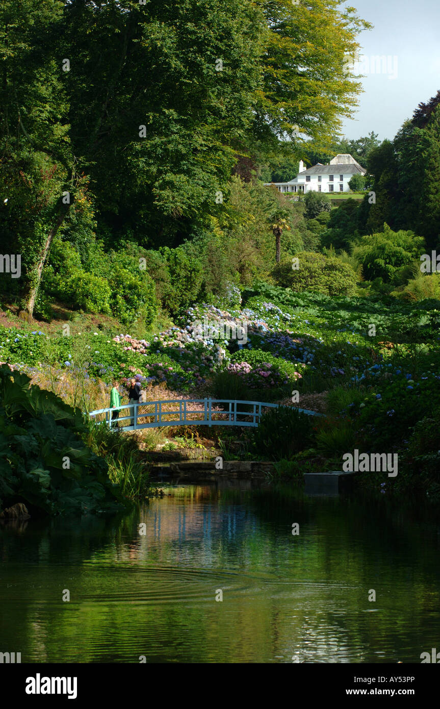 Cornwall Mawnan Smith Trebah botanical Garden a sub tropical ravine ...