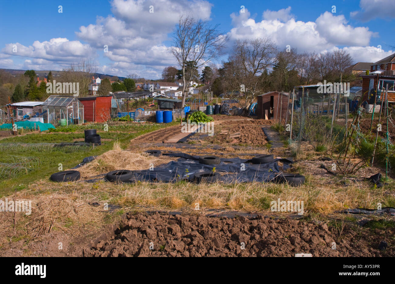 Plots at Lady Mary Allotments Cardiff South Wales UK EU Stock Photo - Alamy
